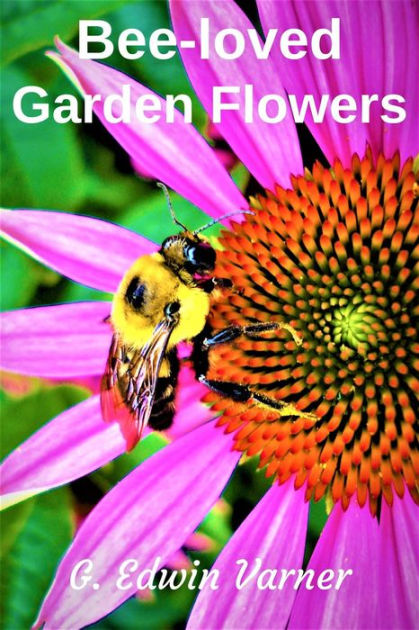 Bee-loved Garden Flowers by G. Edwin Varner | eBook | Barnes & Noble®