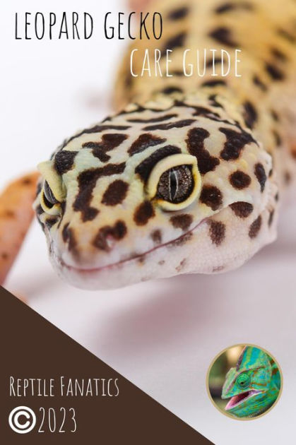 Leopard Gecko Care Guide by Reptile Fanatics | eBook | Barnes & Noble®