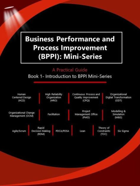Business Performance and Process Improvement (BPPI): Mini-Series A ...