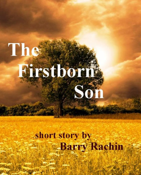 The Firstborn Son by Barry Rachin | eBook | Barnes & Noble®