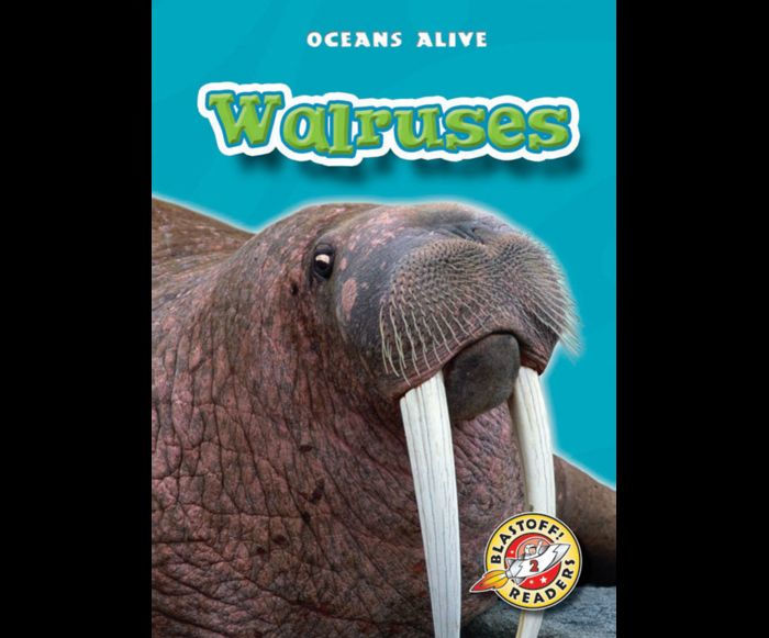 Walruses by Colleen Sexton, Dana Fleming | 2940169543100 | Audiobook ...