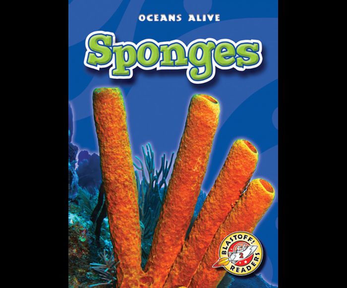 Sponges by Colleen Sexton, Dana Fleming | 2940169543513 | Audiobook ...
