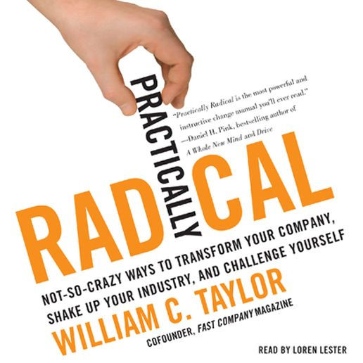Practically Radical: Not-So-Crazy Ways to Transform Your Company, Shake ...