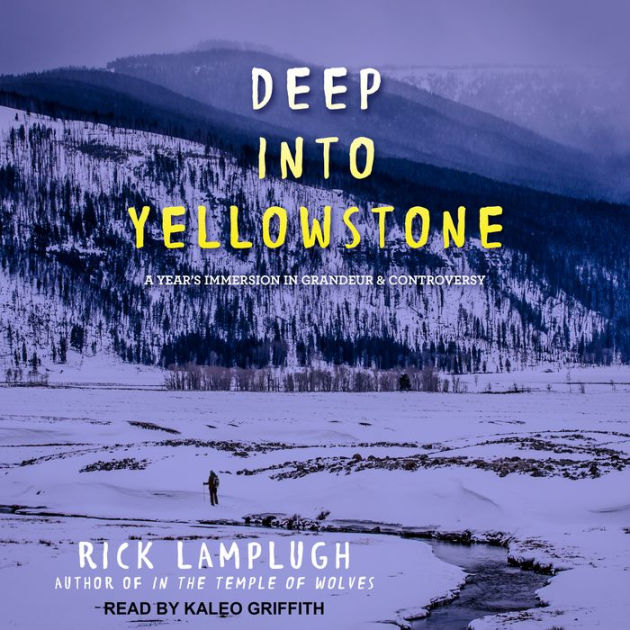 Deep into Yellowstone: A Year's Immersion in Grandeur and Controversy ...