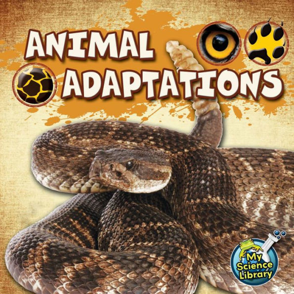Animal Adaptations by Julie K. Lundgren, Rourke Publishing ...