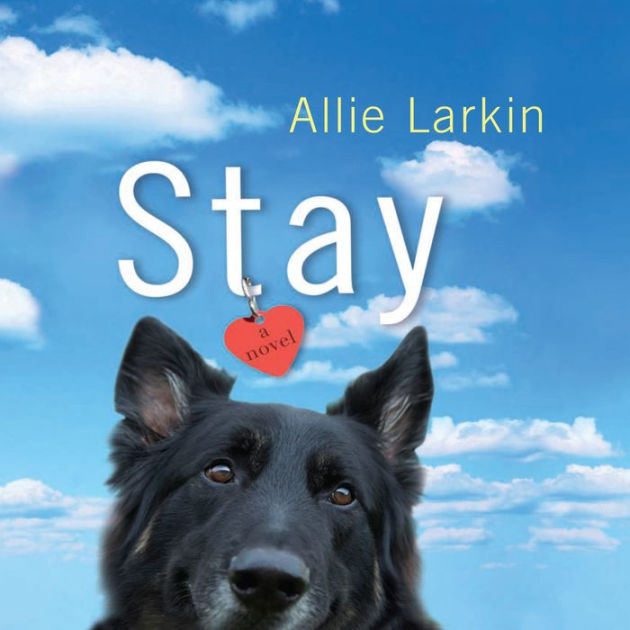Stay by Allie Larkin, Julia Whelan | 2940172407369 | Audiobook (Digital ...