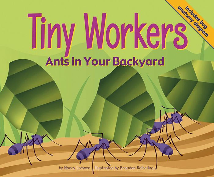 Tiny Workers: Ants in Your Backyard by Nancy Loewen, Brandon Reibeling ...