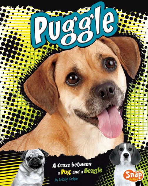 Puggle: A Cross Between a Pug and a Beagle by Molly Kolpin, Hardcover ...