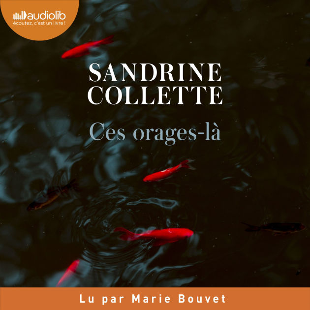 Ces orages-là by Sandrine Collette, Marie Bouvet | 2940173138125 ...
