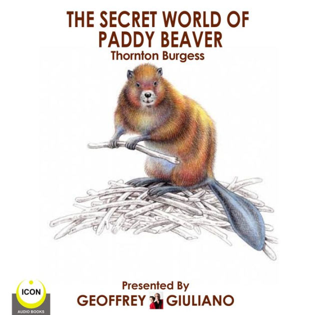 The Secret World Of Paddy Beaver by Thornton Burgess, Geoffrey Giuliano ...