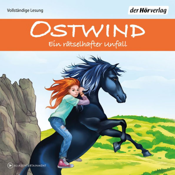 Ostwind - Ein rätselhafter Unfall: Ostwind Abenteuerreihe 1 by Rosa ...