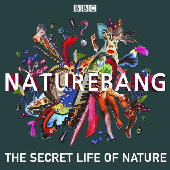 NatureBang: The secret life of nature by Becky Ripley, Emily Knight ...