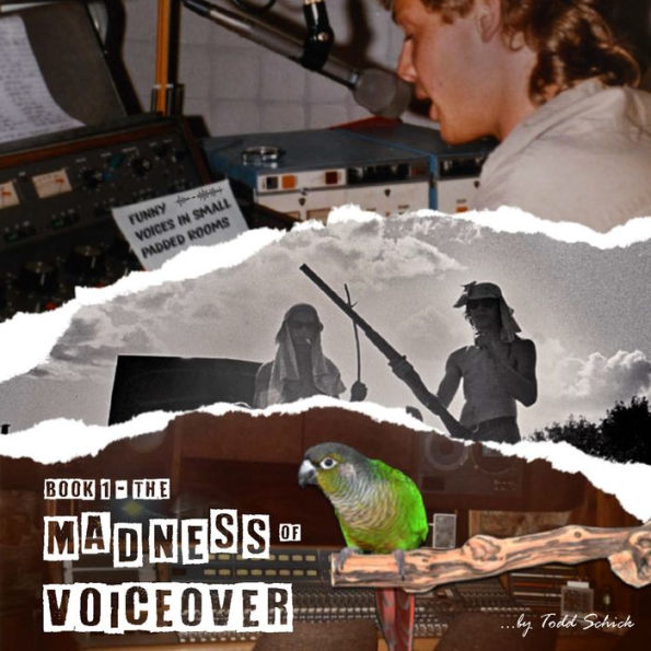 Funny Voices in Small Padded Rooms: The Madness of Voiceover by Todd ...