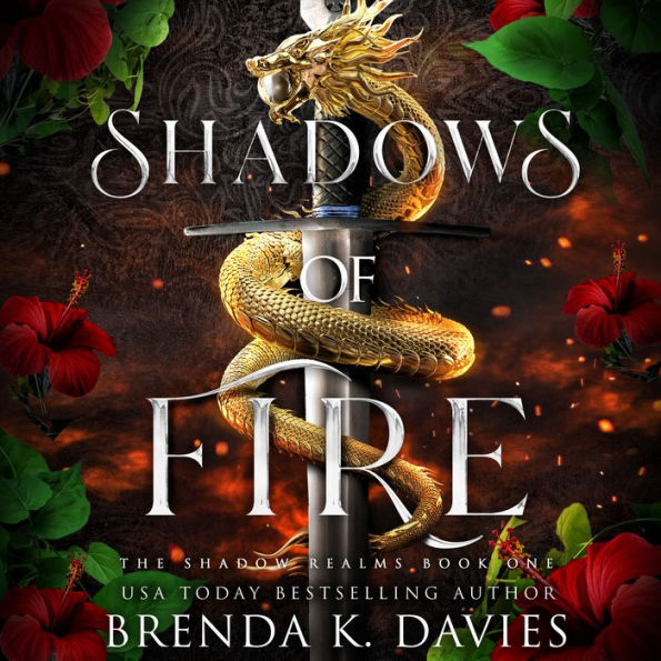 Shadows of Fire (The Shadow Realms, Book 1) by Brenda K. Davies, Meg ...
