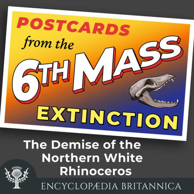 The Demise of the Northern White Rhinoceros by John Rafferty, Barbara ...