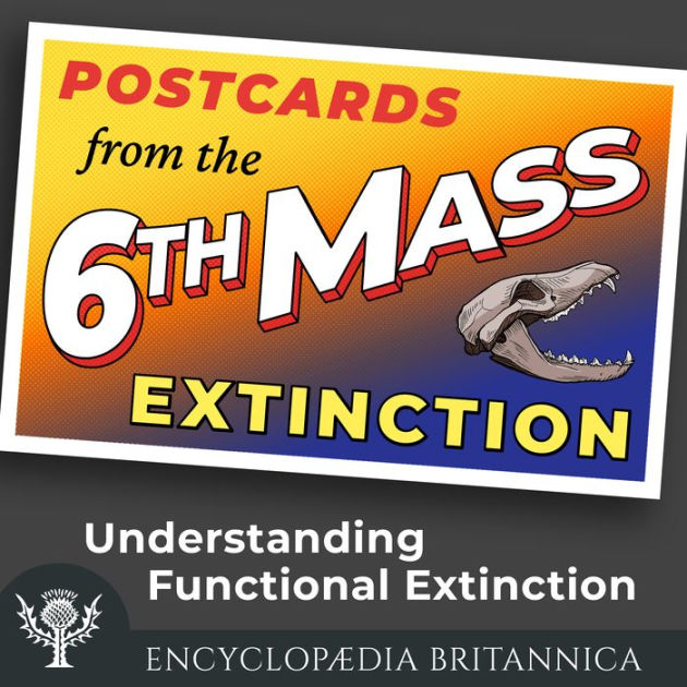 Understanding Functional Extinction by John Rafferty, Andrew Solow ...