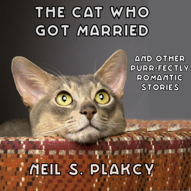 Real Cats Getting Married