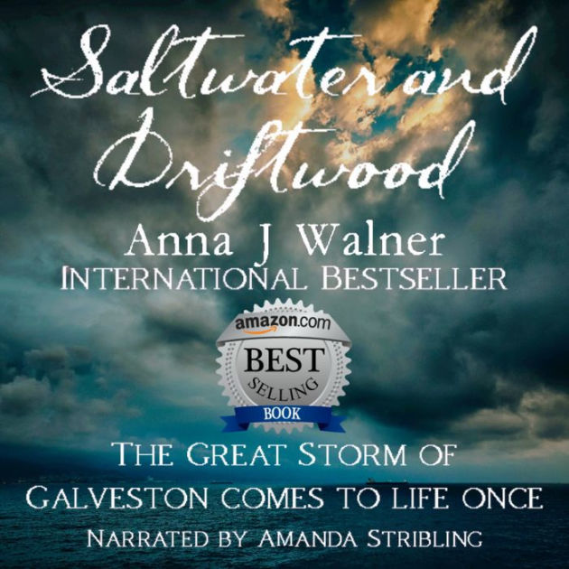 Saltwater and Driftwood: A Historical Novel by Anna J Walner, Hardcover ...