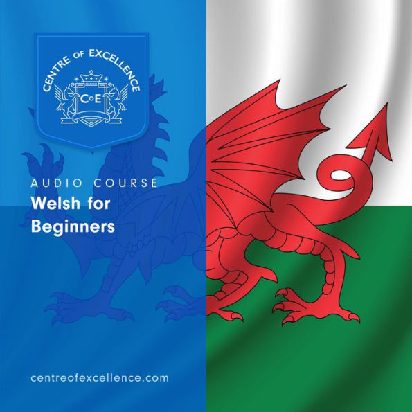 Welsh for Beginners by Centre of Excellence, Ceri | 2940177253893 ...