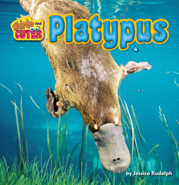Platypus by Jessica Rudolph, Michael Gillick | 2940177695426 ...