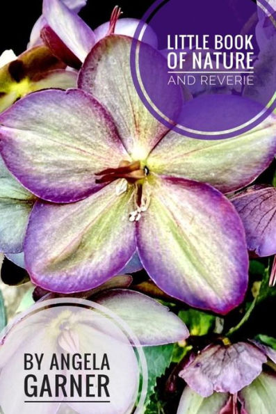 Little Book of Nature and Reverie by Angela Garner | eBook | Barnes ...