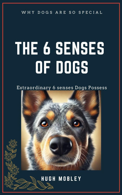 The 6 Senses of dogs by Hugh Mobley | eBook | Barnes & Noble®