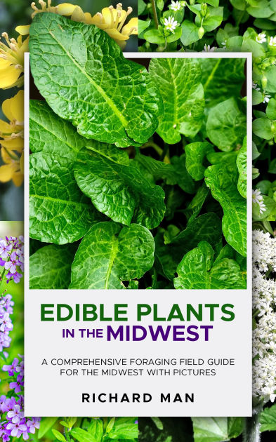 Edible Plants in the Midwest: A Comprehensive Foraging Field Guide for ...