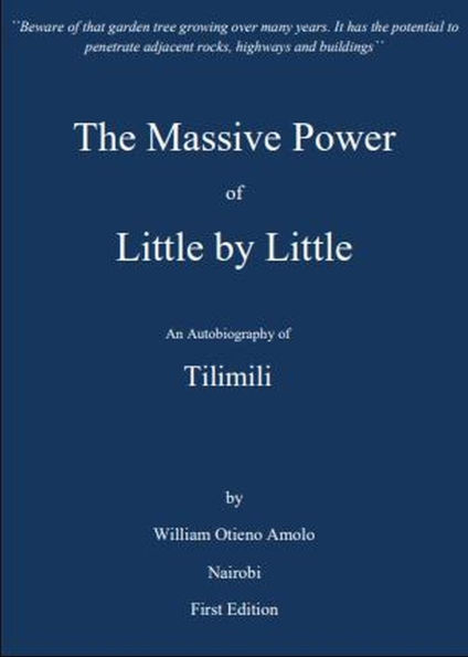 The Massive Power of Little by Little (biography, construction, wealth ...