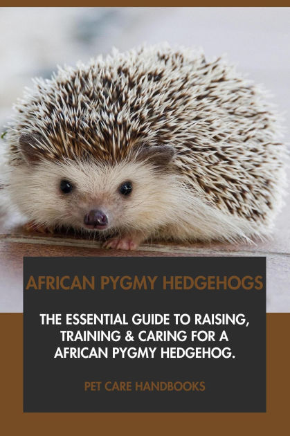 African Pygmy Hedgehogs: The Essential Guide to Raising, Training ...