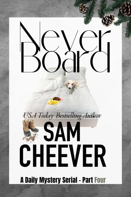 Never Board Part Four: A Daily Mystery Serial by Sam Cheever | eBook ...