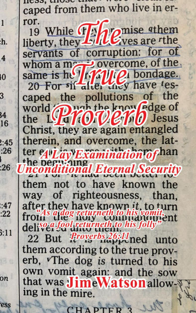 The True Proverb - A Lay Examination of Unconditional Eternal Security ...