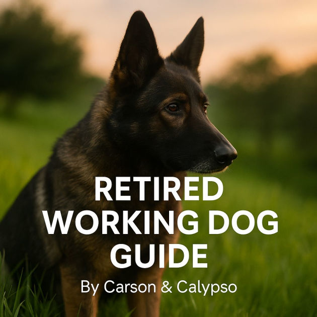 Retired K9 Heroes: A Comprehensive Guide To Adoption And Care ...