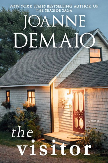 The Visitor by Joanne DeMaio, Paperback | Barnes & Noble®