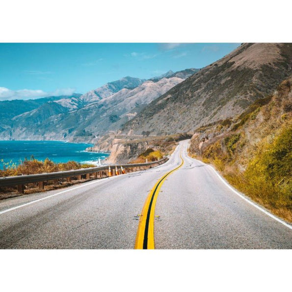 Financial Freedom Roadmap: Unlocking the Path to Wealth and ...