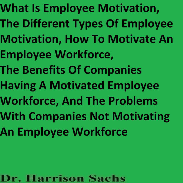What Is Employee Motivation, The Different Types Of Employee Motivation ...