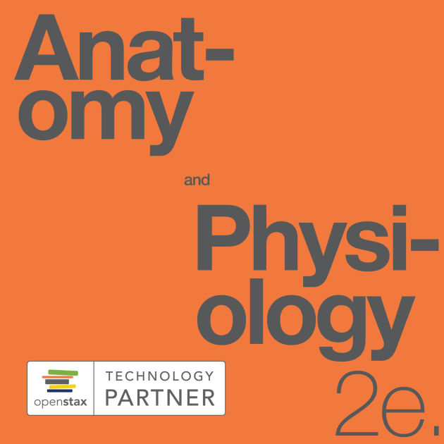 Anatomy and Physiology 2e by J. Gordon Betts, Kelly A. Young, James A ...