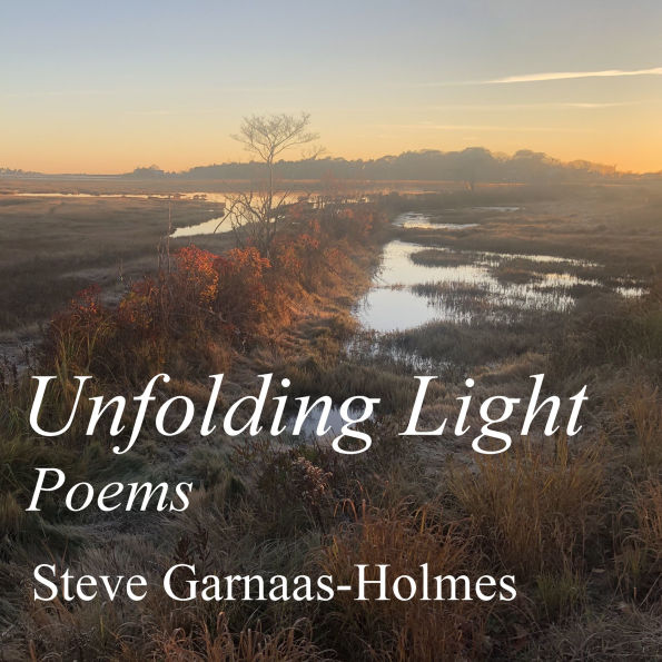 Unfolding Light: Poems by Steve Garnaas-Holmes | 2940191267890 ...