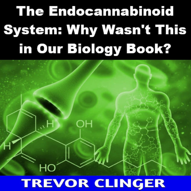 The Endocannabinoid System: Why Wasn't This in Our Biology Book? by ...
