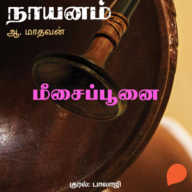 Meesai Poonai by A Madhavan, Balaji V | 2940193396123 | Audiobook ...