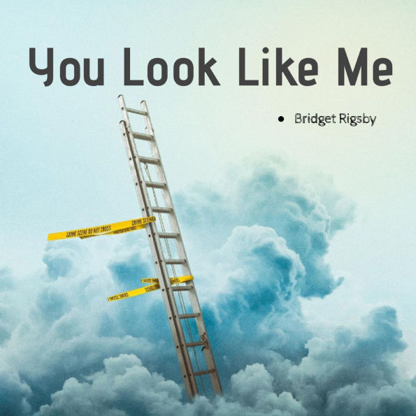 You Look Like Me by Bridget Rigsby, Danielle Flor | 2940193719755 ...