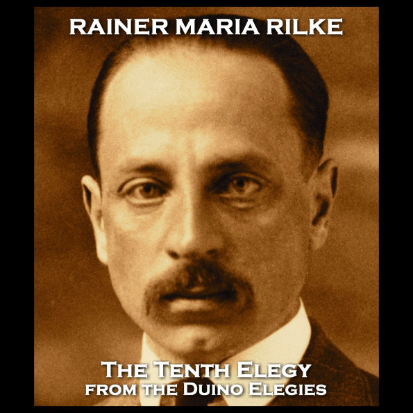 The Tenth Elegy: Lyrical poem about the emotional rollercoaster that is ...