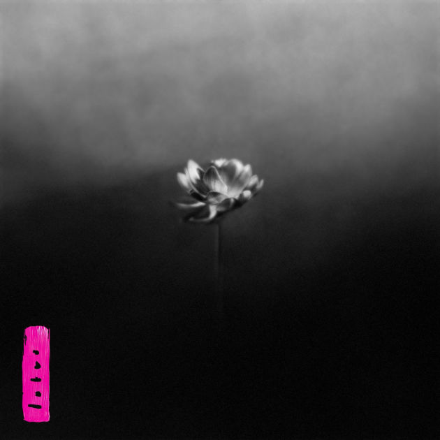 Lotus by Little Simz | Vinyl LP | Barnes & Noble®