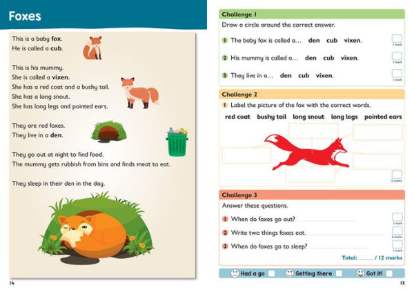 Collins Year 1 Reading Comprehension Targeted Practice Workbook: Ideal ...