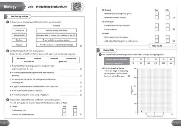 KS3 Science Year 7 Workbook: Ideal for Year 7 by Collins Collins KS3 ...