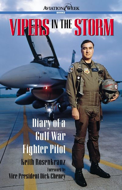 Vipers in the Storm: Diary of a Gulf War Fighter Pilot by Keith ...