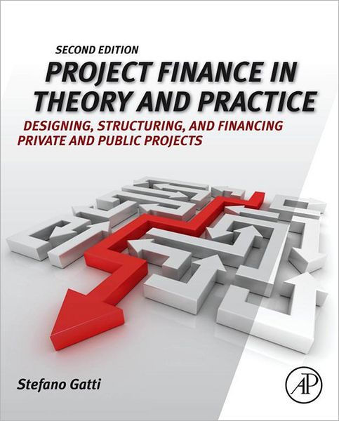 Project Finance in Theory and Practice: Designing, Structuring, and ...