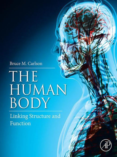 The Human Body: Linking Structure and Function by PhD Carlson MD, Bruce ...