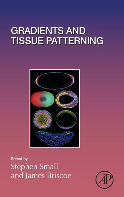 Gradients and Tissue Patterning by Stephen Small | 9780128127902 ...