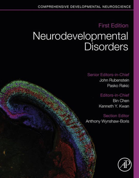 Neurodevelopmental Disorders: Comprehensive Developmental Neuroscience by Bin Chen | eBook ...