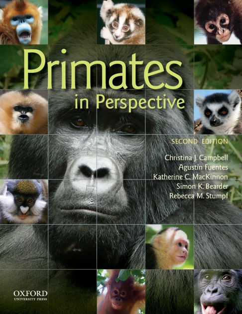Primates in Perspective / Edition 2 by Christina Campbell, Agustin ...